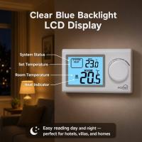 China Riseem Digital Display Style Boiler Room Thermostat with Temperature Control and Programmable Function for sale