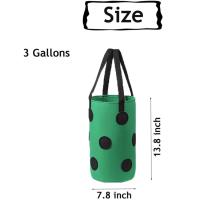 China Nonwoven Fabric Strawberry Grow Bag Plant Pots for sale