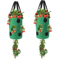 China Nonwoven Fabric Strawberry Grow Bag Plant Pots for sale