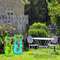 China Nonwoven Fabric Strawberry Grow Bag Plant Pots for sale
