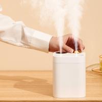China LED Light Heavy Fog Ultrasonic USB Home Air Humidifier 1000ML Double Nozzle Cool Mist Warm for sale
