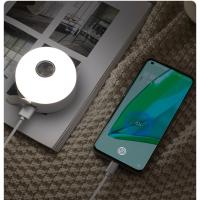 China Popular Outdoor Multi-function Camping Tent Lights Rechargeable Portable Magnet Lamp with Power Bank Function for sale