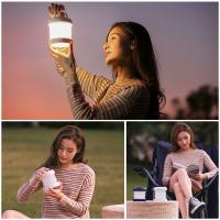 China 2022 New Portable Outdoor Multi-function Camping Tent Lights Rechargeable Waterproof Portable Emergency Lights for sale