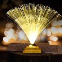 China Remote Control Colorful Christmas Xmas Party Decor Luminous Flower Lamp Gradients Led Optic Fiber Star Light for sale