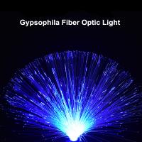 China Remote Control Colorful Christmas Xmas Party Decor Luminous Flower Lamp Gradients Led Optic Fiber Star Light for sale