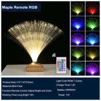 China Remote Control Colorful Christmas Xmas Party Decor Luminous Flower Lamp Gradients Led Optic Fiber Star Light for sale