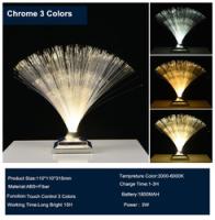China Remote Control Colorful Christmas Xmas Party Decor Luminous Flower Lamp Gradients Led Optic Fiber Star Light for sale