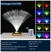 China Remote Control Colorful Christmas Xmas Party Decor Luminous Flower Lamp Gradients Led Optic Fiber Star Light for sale