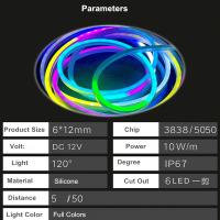 China Outdoor IP67 12V 6*12MM Marquee Flowing Water Silicone Strip Lights Colorful Flexible Neon Light Strip for sale