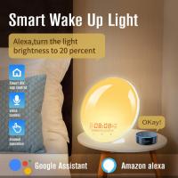 China 2022 New Smart APP Sunrise Wake up Light Alarm Clock with 8 Natural Music Sunrise Simulation Bedside Night light with FM for sale