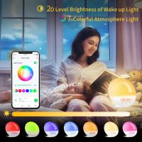 China 2022 New Smart APP Sunrise Wake up Light Alarm Clock with 8 Natural Music Sunrise Simulation Bedside Night light with FM for sale