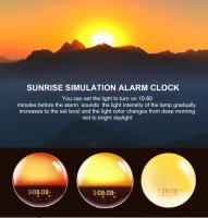 China 2022 New Smart APP Sunrise Wake up Light Alarm Clock with 8 Natural Music Sunrise Simulation Bedside Night light with FM for sale