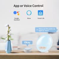 China 2022 New Smart APP Sunrise Wake up Light Alarm Clock with 8 Natural Music Sunrise Simulation Bedside Night light with FM for sale