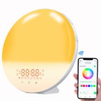 China 2022 New Smart APP Sunrise Wake up Light Alarm Clock with 8 Natural Music Sunrise Simulation Bedside Night light with FM for sale