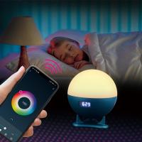 China Bedside Smart WIFI APP Control Full Colors Wake Up Table Lamp With Alarm Clock White Noise Touch Sense Wake Up Light for sale