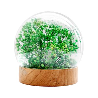 China Creative Everlasting Flower Music Night Light Wireless Speaker Colorful Atmosphere Light Home Decoration with Remote Con for sale
