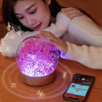 China Creative Everlasting Flower Music Night Light Wireless Speaker Colorful Atmosphere Light Home Decoration with Remote Con for sale