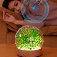 China Creative Everlasting Flower Music Night Light Wireless Speaker Colorful Atmosphere Light Home Decoration with Remote Con for sale