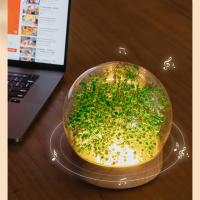 China Creative Everlasting Flower Music Night Light Wireless Speaker Colorful Atmosphere Light Home Decoration with Remote Con for sale