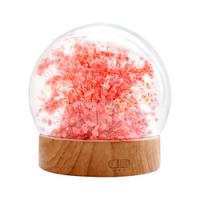 China Creative Everlasting Flower Music Night Light Wireless Speaker Colorful Atmosphere Light Home Decoration with Remote Con for sale
