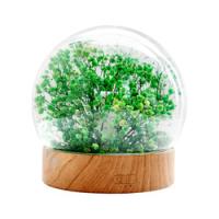 China Creative Everlasting Flower Music Night Light Wireless Speaker Colorful Atmosphere Light Home Decoration with Remote Con for sale