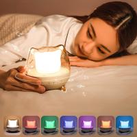China Creative Cute Cat Sleeping Night Light Wireless Speaker Colorful Atmosphere Light Home Decoration Music Night light For for sale