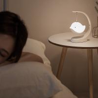 China Creative 2 in 1 Cute Hanging Bird Night light Wireless Speaker Colorful Atmosphere Light Sleeping Night Light  Home Deco for sale