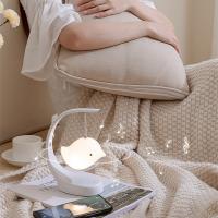 China Creative 2 in 1 Cute Hanging Bird Night light Wireless Speaker Colorful Atmosphere Light Sleeping Night Light  Home Deco for sale