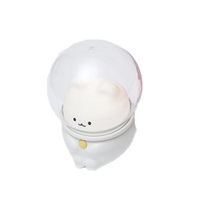 China New Interstellar Pet Night light LED colorful atmosphere table lamp USB Rechargeable Bedside Night light for Children for sale