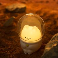 China New Interstellar Pet Night light LED colorful atmosphere table lamp USB Rechargeable Bedside Night light for Children for sale