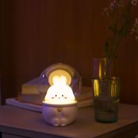 China New Interstellar Pet Night light LED colorful atmosphere table lamp USB Rechargeable Bedside Night light for Children for sale