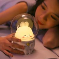 China New Interstellar Pet Night light LED colorful atmosphere table lamp USB Rechargeable Bedside Night light for Children for sale