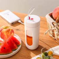 China New Minimalist Portable Juicer Cup 300ml Rechargeable  Milkshake Fruit Blender For Home Travel for sale
