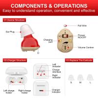 China Mini Invisible CIC Ear Hearing Aids Personal Rechargeable Amplifier For Hearing Impaired for sale