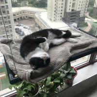 China High Load Capacity Cooling Pet Mat Cushion Sucker Hanging Window Cat Hammock for sale