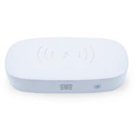 China Multi Function Sanitizing Wand UV Light Phone Sanitizer Portable Fast Charge Box for sale