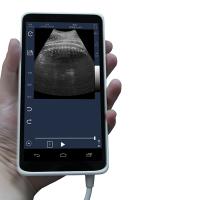 China Handheld Ultrasound Scanner convex transducer for sale