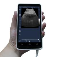 China Ultrasound Scanner 6 inch 128 Elements Handheld Touch Screen Color Doppler Machine with convex/linear probe for sale