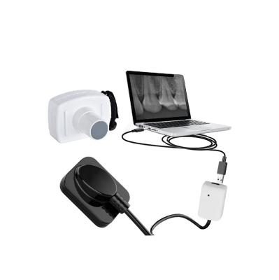 China Factory price for the 21*21 rvg dental sensordental sensor digital dental x-ray FP12 for sale