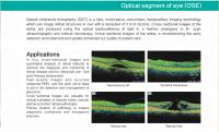 China Spectral Domain OCT Optical Coherence Tomography for ophthalmology department for sale