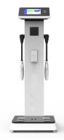 China hot selling factory price for the Body Fat Scale for sale