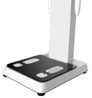 China hot selling factory price for the Body Fat Scale for sale