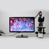 China Factory price Economical 40x-1600x binocular biological microscope Microscope for sale