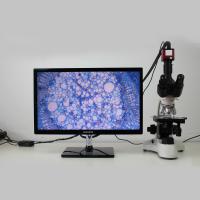 China Factory price Economical 40x-1600x binocular biological microscope Microscope for sale