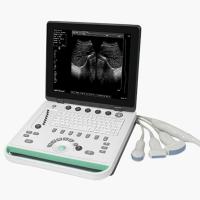 China 15 inch Cheap Hotsell SS-7 Vet Ultrasound Portable Machine Equipment High Image for sale