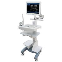 China Touch screen 3D Ultrasound Scanner Machine-- SS-100 for sale
