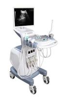 China Touch screen 3D Ultrasound Scanner Machine-- SS-100 for sale
