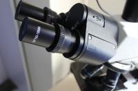 China Cheapest Portable Binocular Biological Microscope with Camera for sale