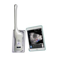 China Convex Linear  Phased Transvaginal Wireless 3 in 1 Portable Ultrasound Scanner Probe for sale