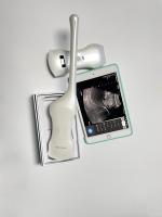 China Convex Linear  Phased Transvaginal Wireless 3 in 1 Portable Ultrasound Scanner Probe for sale